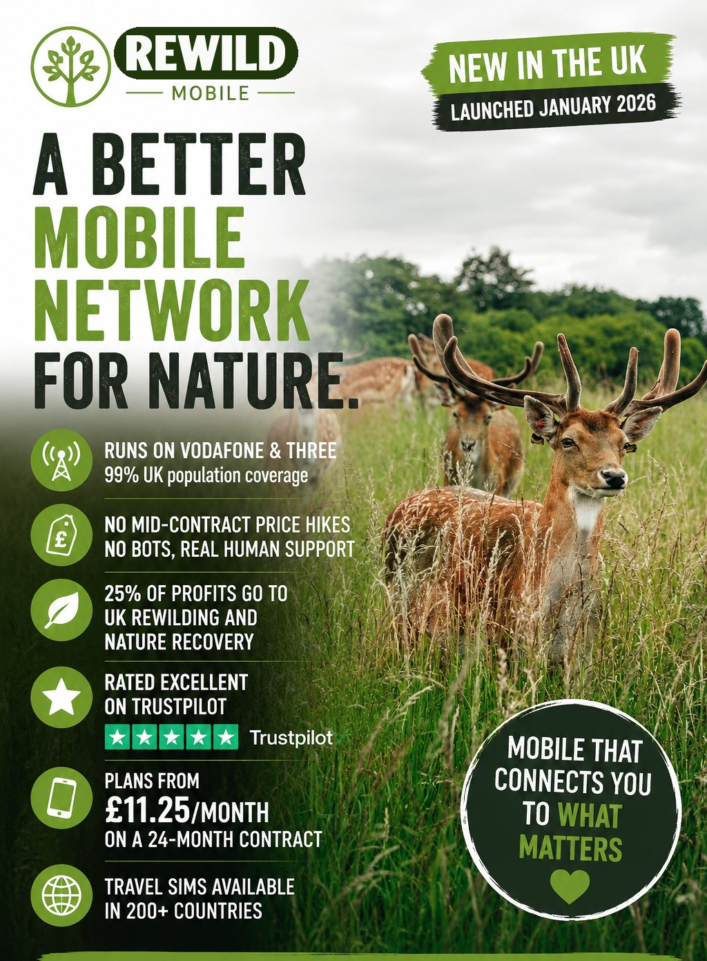 Rewild Mobile Review 2026 — The Ethical UK Network Worth Switching To ...